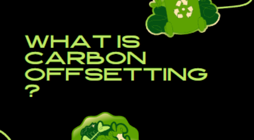 Carbon offsetting: Greenwashing or the Solution? – IYNF – International ...