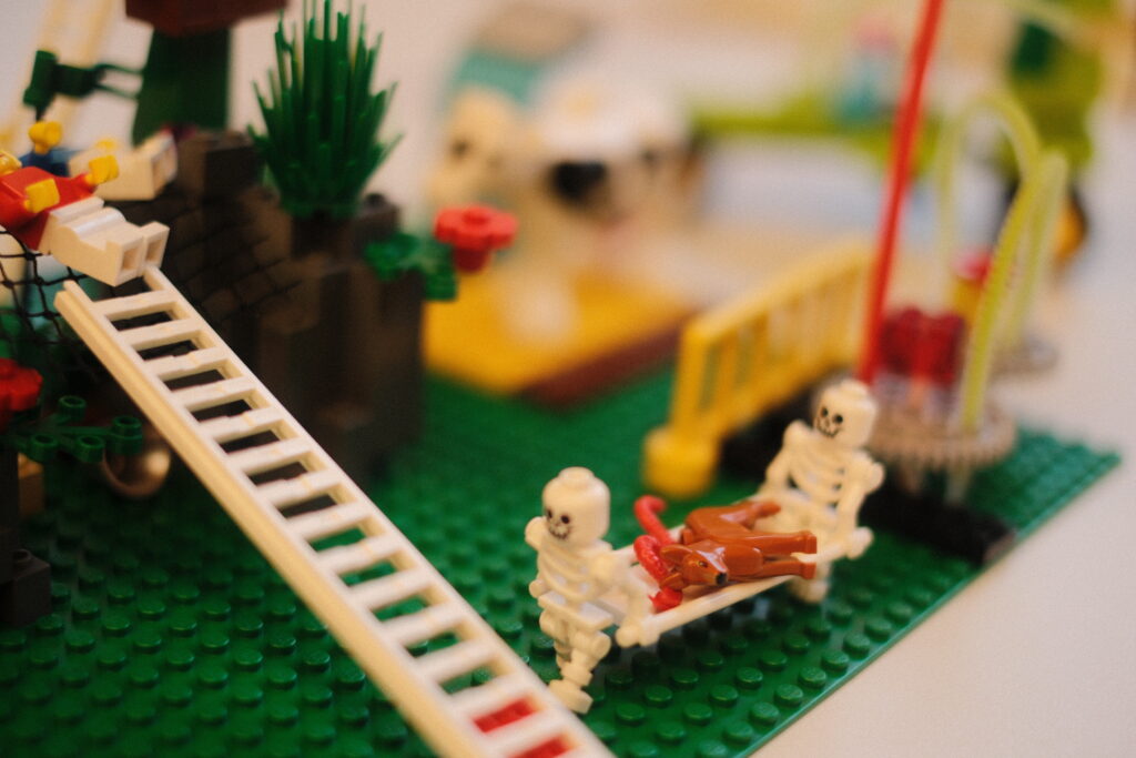 Reflections through Lego models – IYNF – International Young Naturefriends