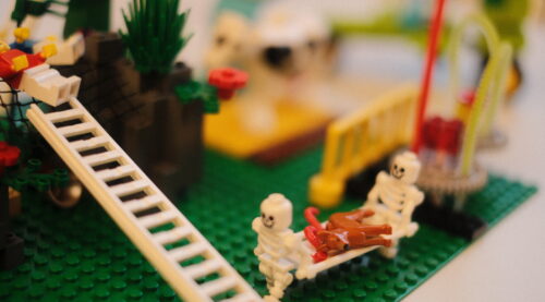 Reflections through Lego models – IYNF – International Young Naturefriends